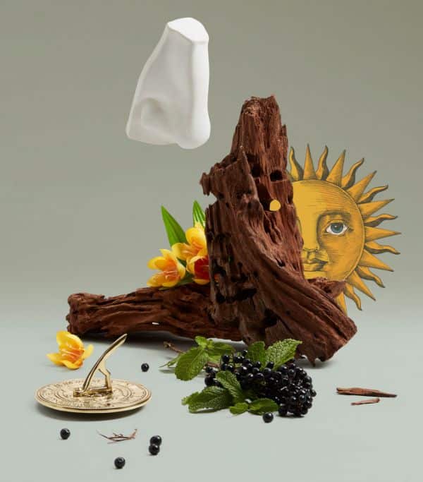 Penhaligons Solaris: The Power Of The Sun In Your Hand