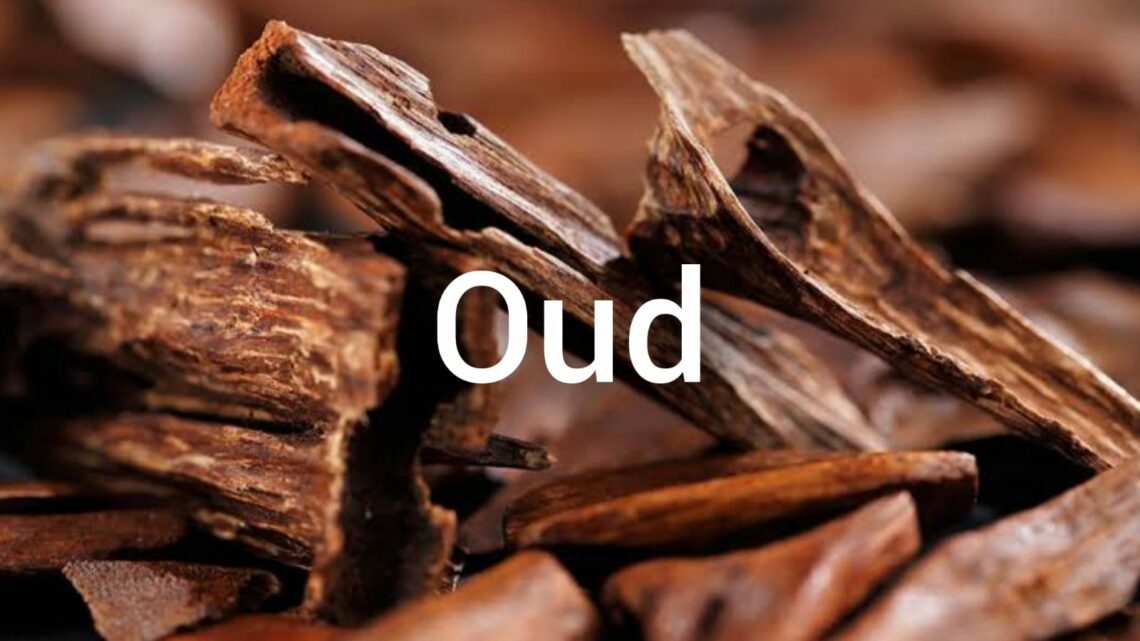 Misconceptions Of Oud: The Most Magical Ingredient In Perfume