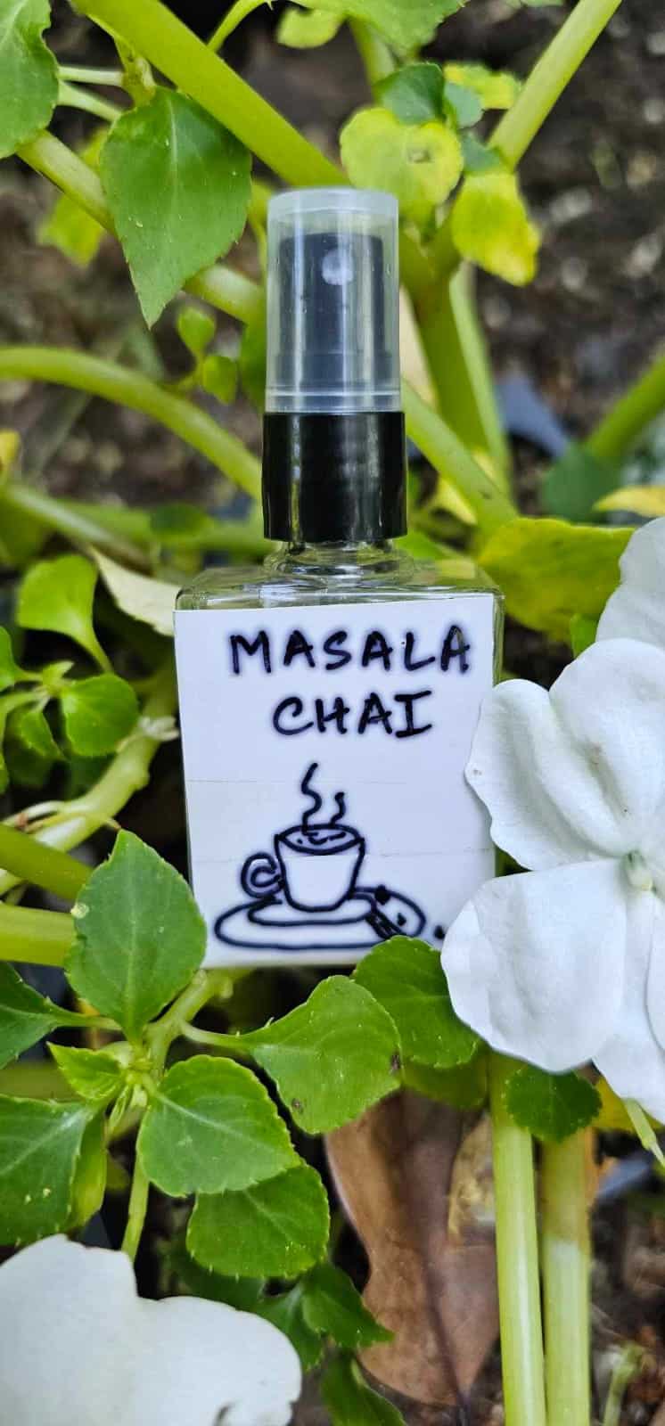 Satyajeet Dharmadhikari Masala Chai Review: The Most Realistic Chai And ...