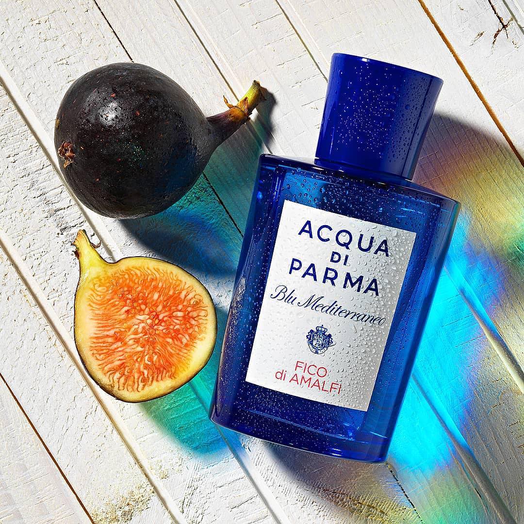 10 Best Acqua Di Parma Fragrances You Need To Try Today