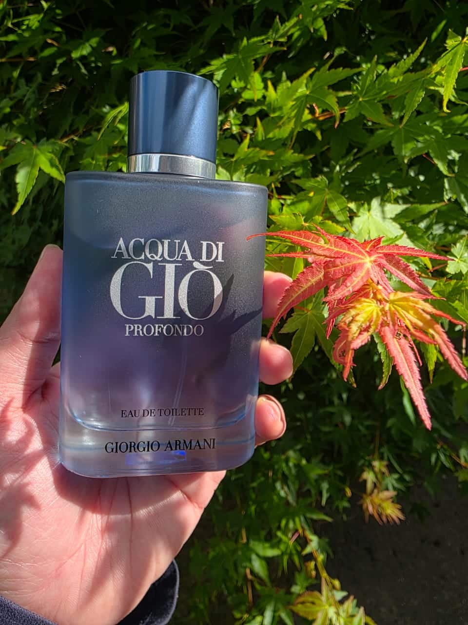 Acqua Di Gio Profondo Eau De Toilette Review: A Reminiscence Of The ...
