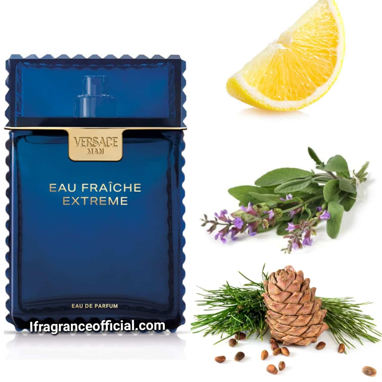 Versace Eau Fraiche Extreme - Fragrance Notes & Reviews