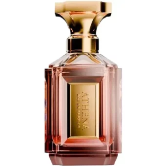 Apollo Velixir Parfums 2024